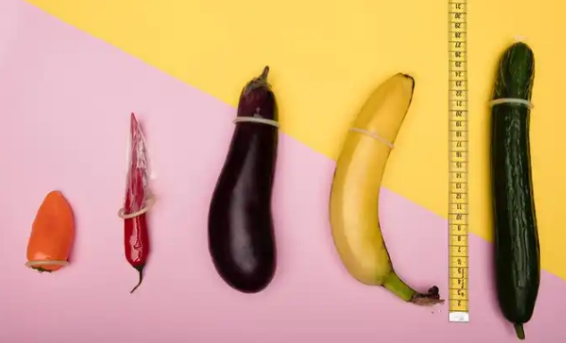 Bon à savoir : trois types de p£nis et leurs utilités, le rôle de la circoncision - L'investigateur